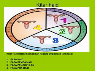 Sistem pembiakan | PPT