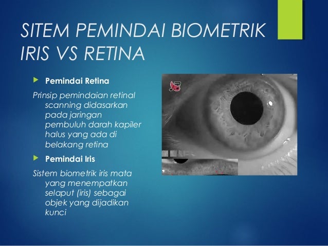Sistem pemindai biometrik retina dan iris