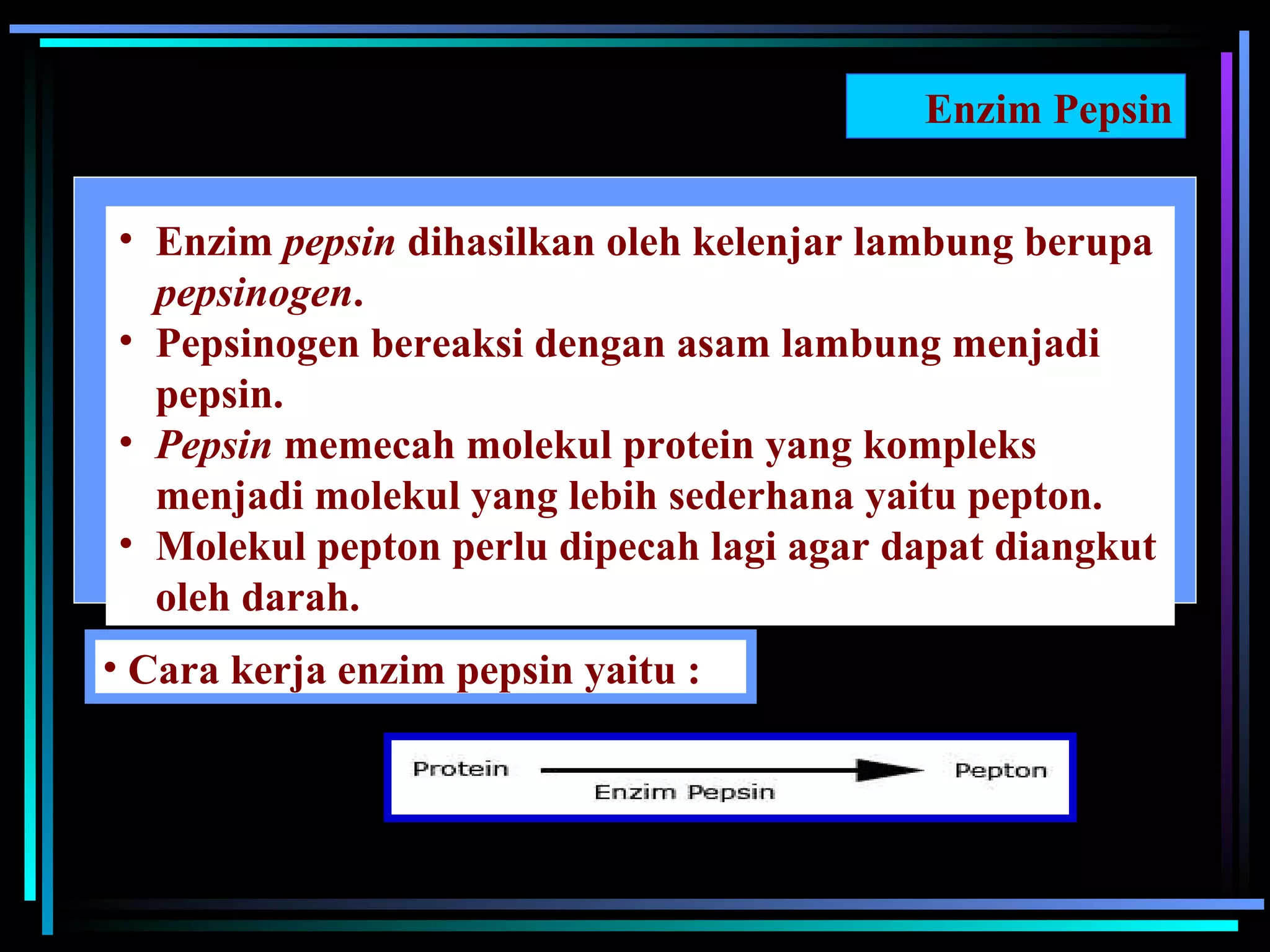 Sistem pencernaan.. | PPT