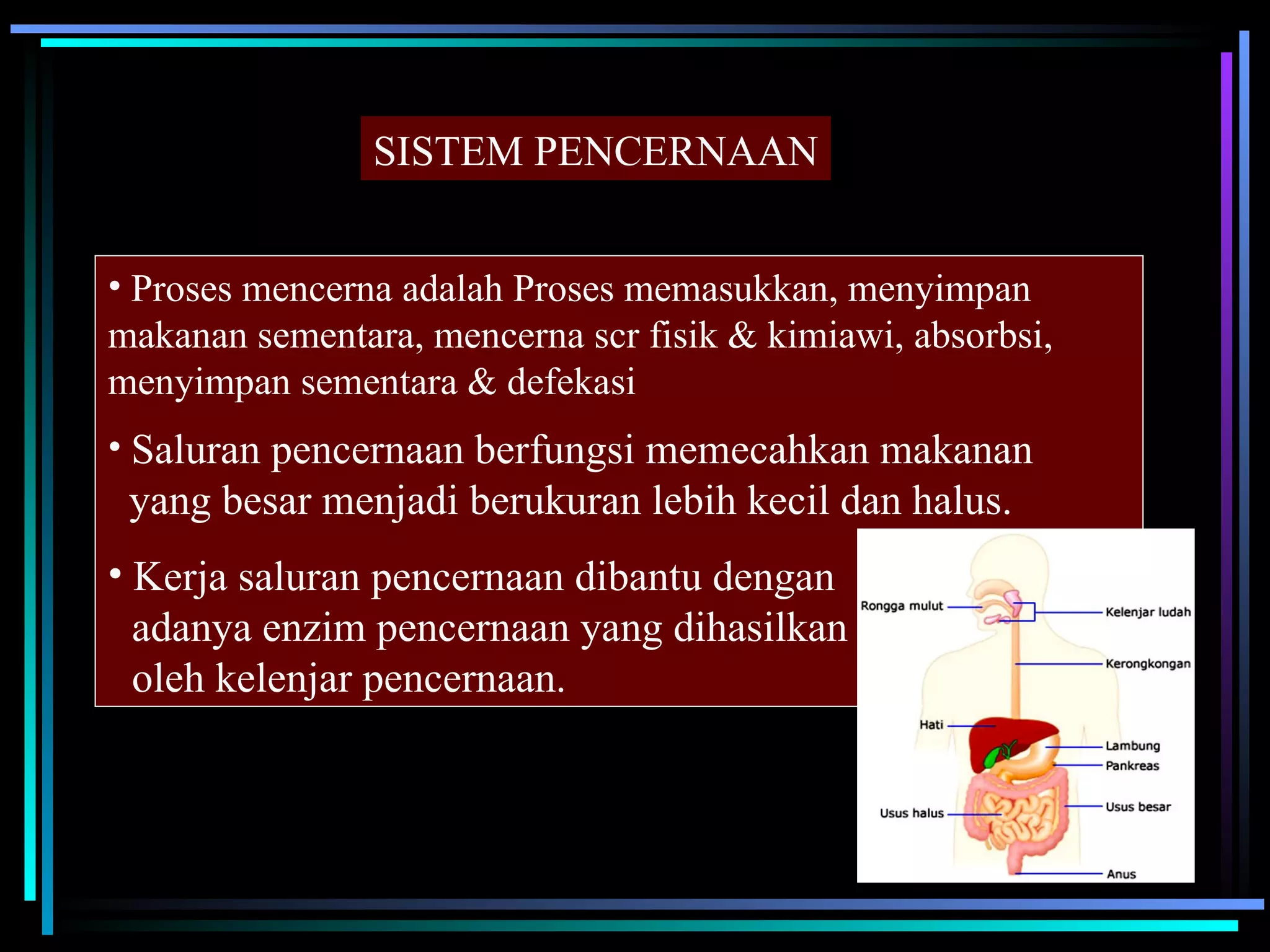 Sistem pencernaan.. | PPT