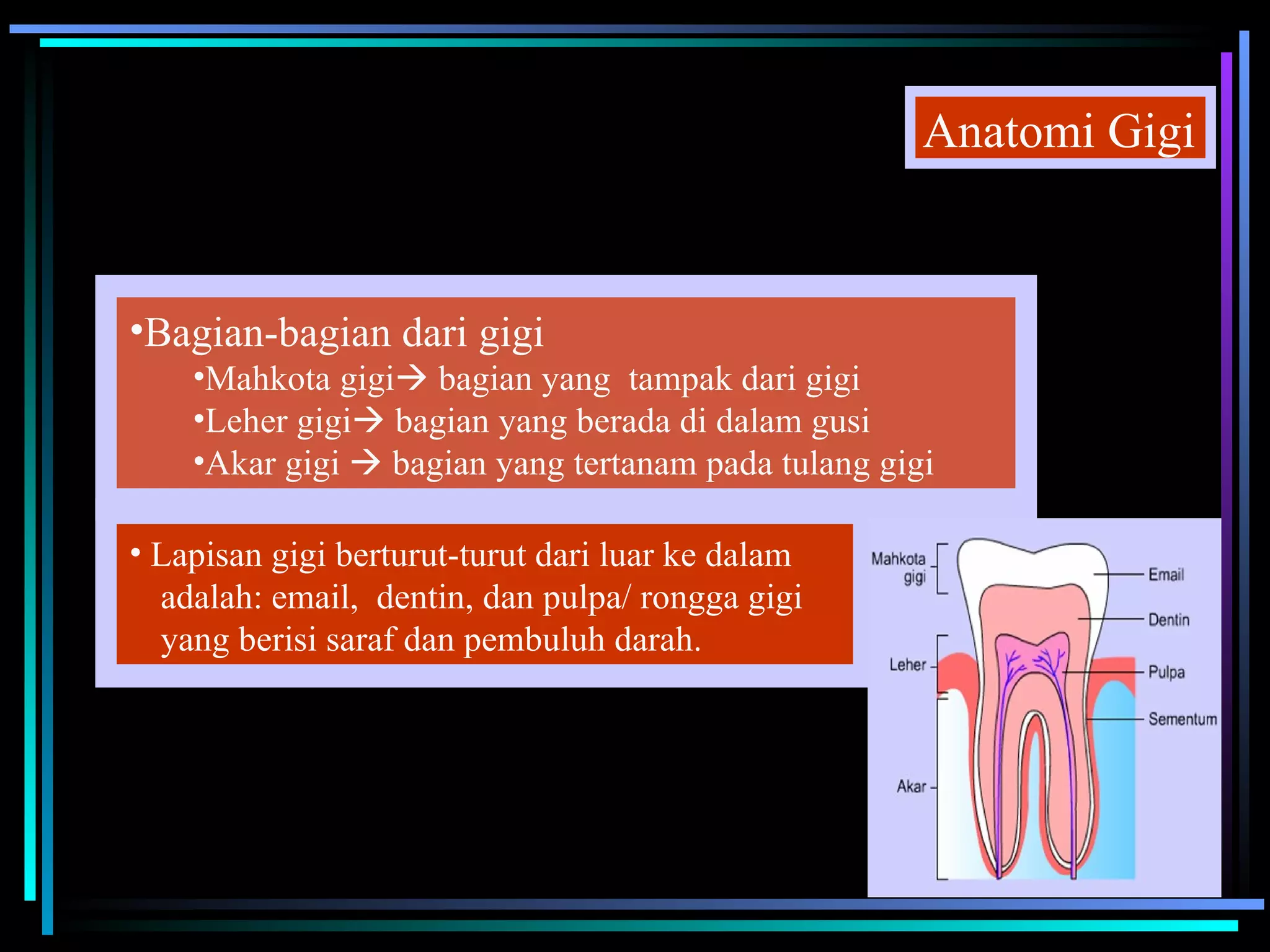 Sistem pencernaan.. | PPT