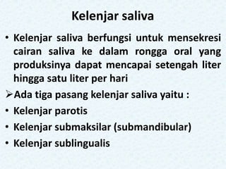 Sistem pencernaan | PPTX