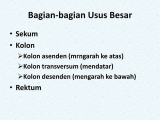 Sistem pencernaan | PPTX