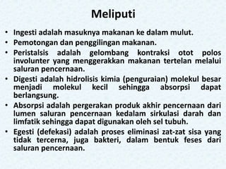 Sistem pencernaan | PPTX