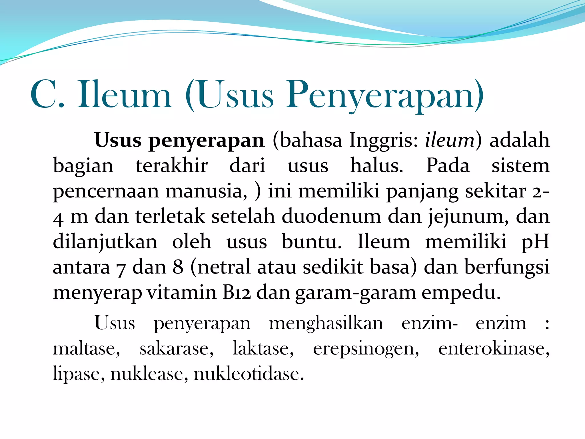 Sistem pencernaan | PPTX