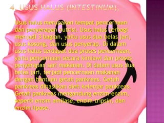 Sistem pencernaan | PPTX