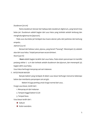 Sistem pencernaan | PDF