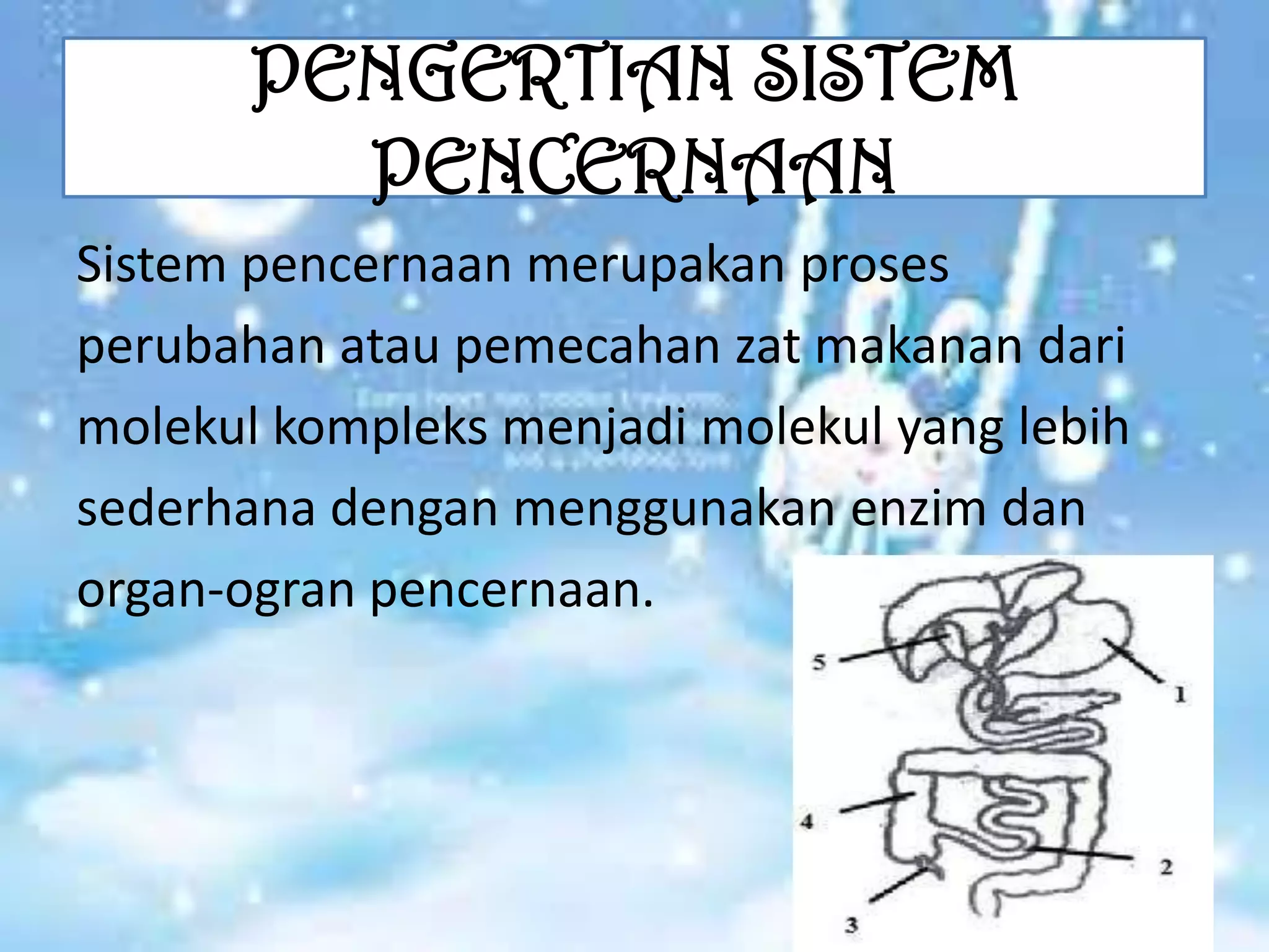 Sistem Pencernaan | PPT
