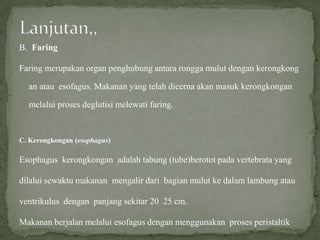 TUGAS ANFIS SISTEM PENCERNAAN | PPTX