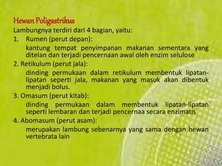 Sistem Pencernaan (Universitas Kuningan) | PPTX