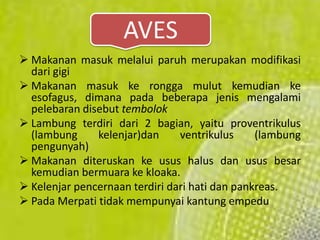 Sistem Pencernaan (Universitas Kuningan) | PPTX