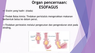 Bab 2 nutrisi (Sistem pencernaan) | PPTX