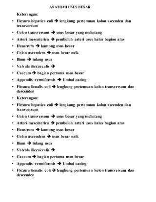 Sistem pencernaan | DOCX