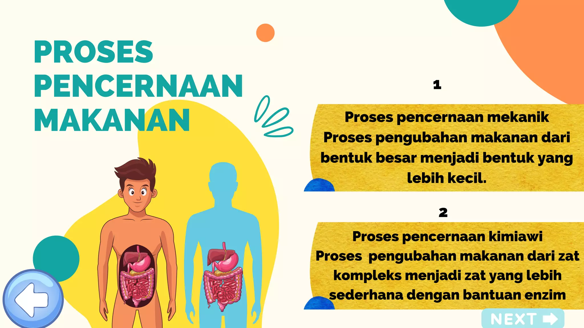 Sistem Pencernaan.pdf