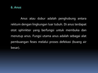 SISTEM_PENCERNAAN pada manusia yang mengalami masalah sistem pencernaan ...