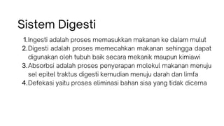 Sistem Pencernaan.pdfkzjhjKmksjnmxnnxjxhzhh | PPT