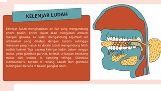 SISTEM PENCERNAAN PADA MANUSIA KELAS 8 SMP | PPT