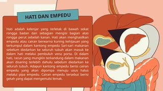 SISTEM PENCERNAAN PADA MANUSIA KELAS 8 SMP | PPT