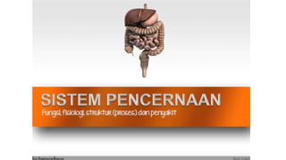 SISTEM PENCERNAAN pada MANUSIA KELAS XI.pptx