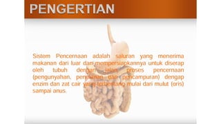 SISTEM PENCERNAAN pada MANUSIA KELAS XI.pptx