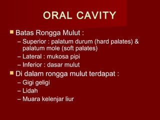 Power Point Sistem Pencernaan | PPT