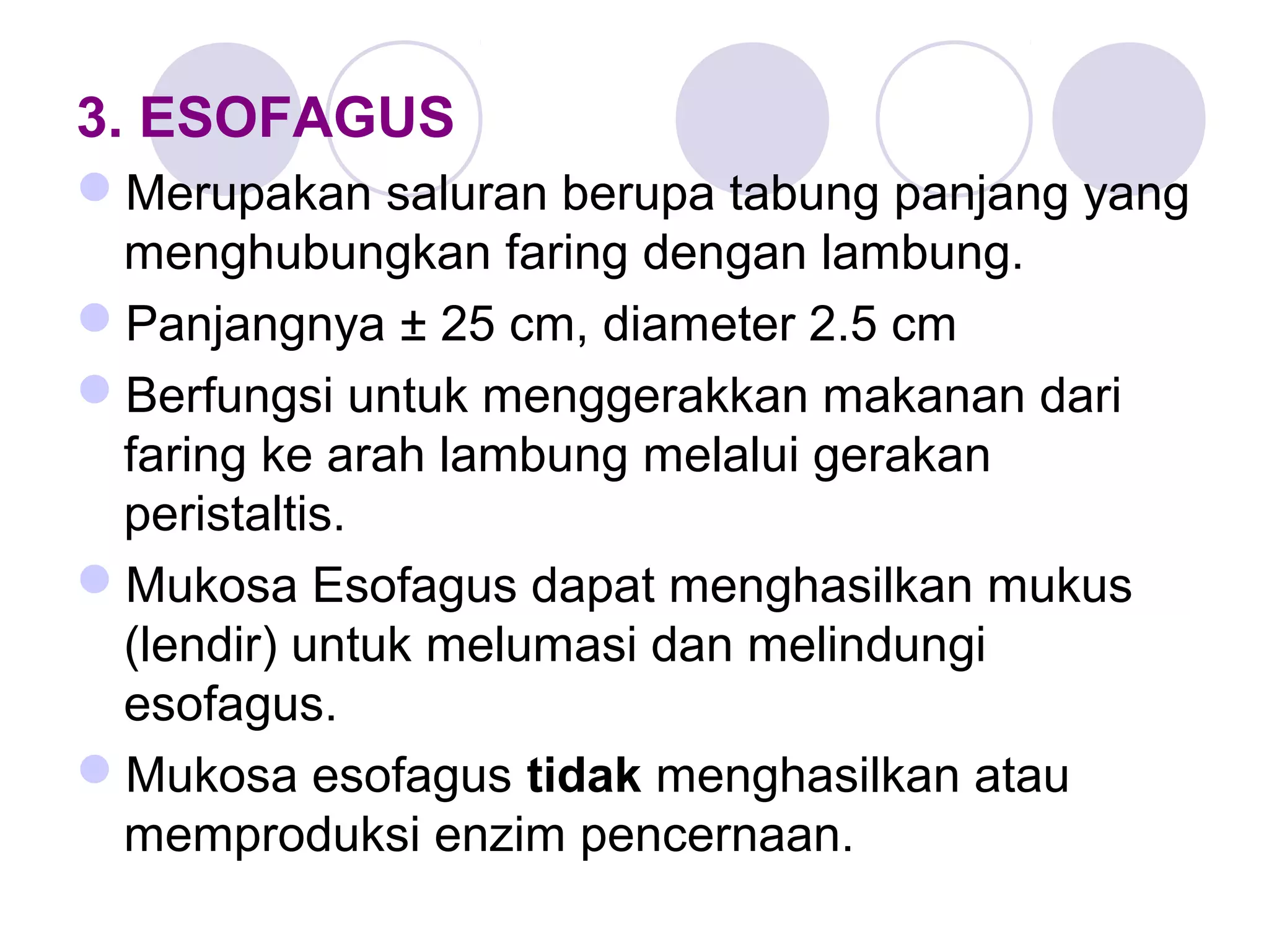Sistem pencernaan 3 | PPT