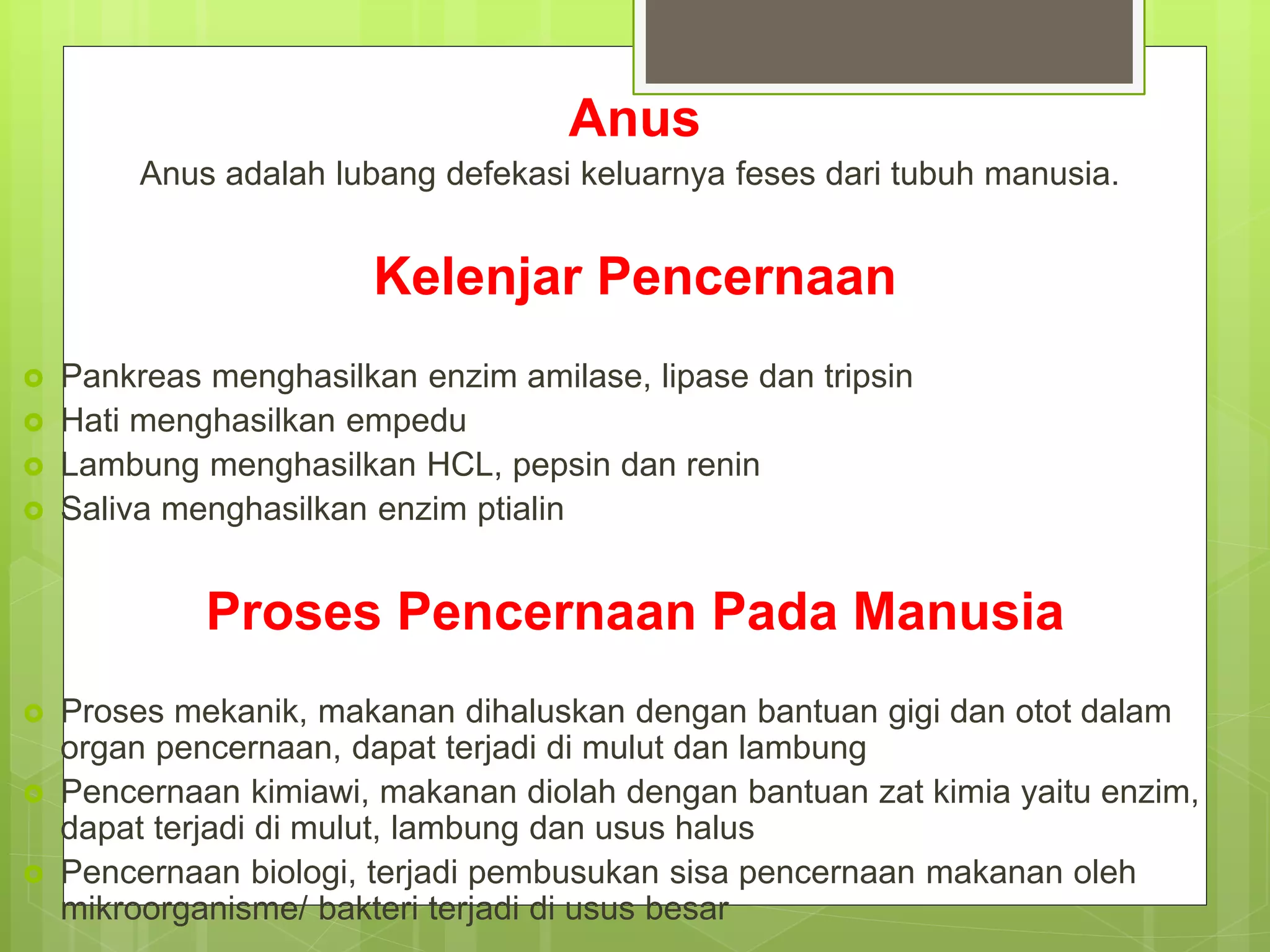 SISTEM PENCERNAAN BS.pptx