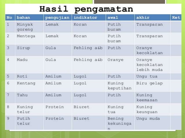 SISTEM PENCERNAAN BS.pptx