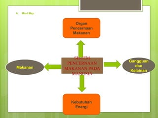SISTEM PENCERNAAN BS.pptx