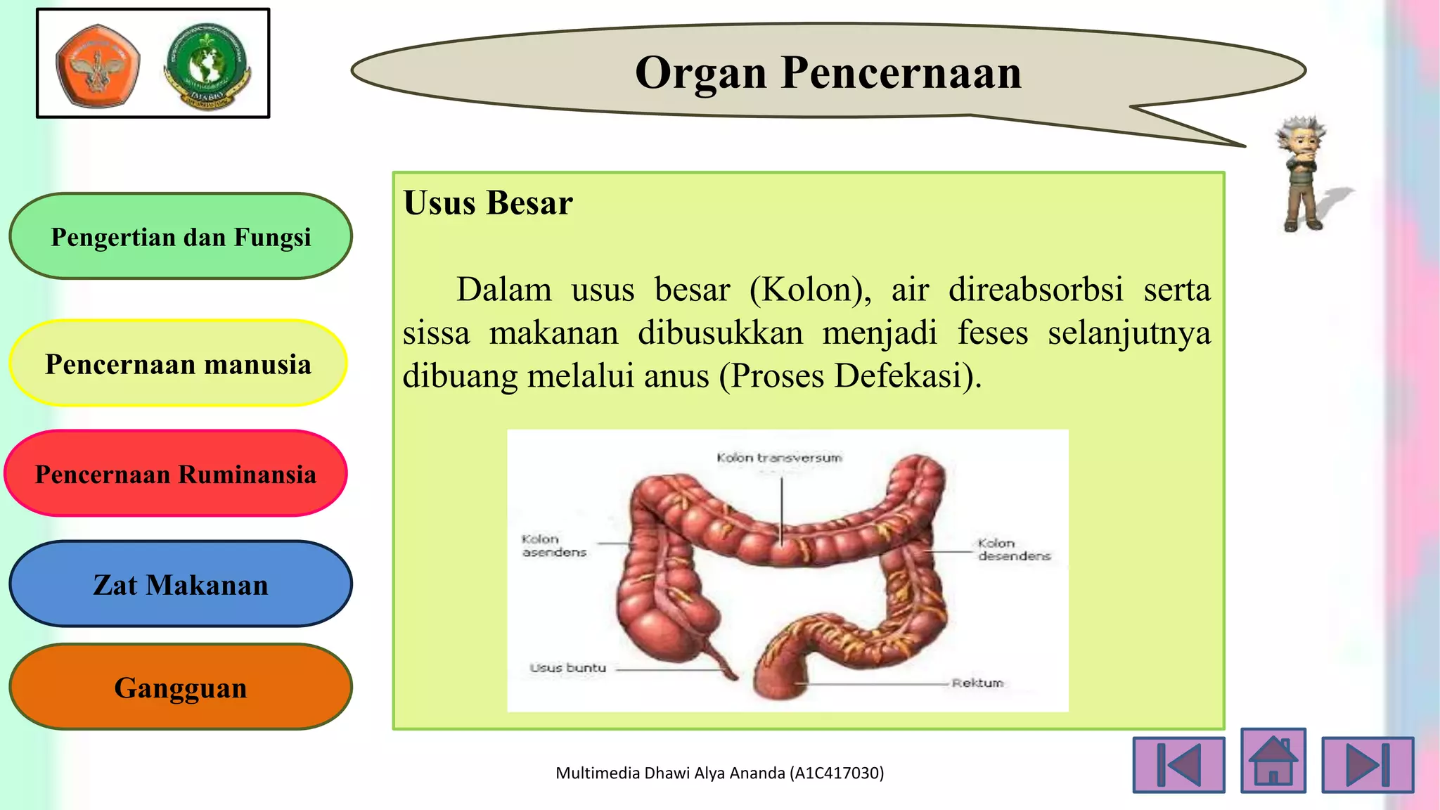 Sistem pencernaan (dhawi) | PPTX