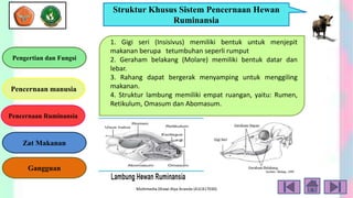 Sistem pencernaan (dhawi) | PPT