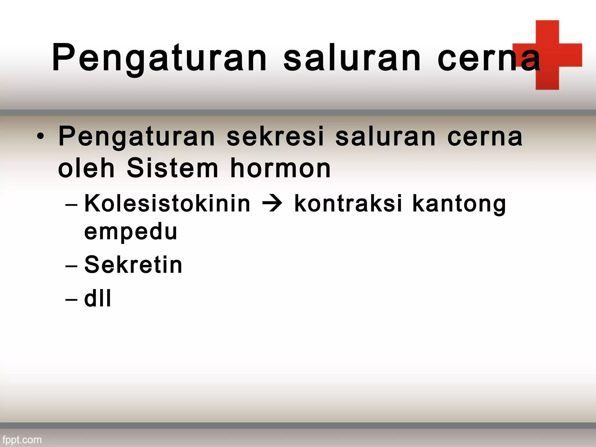 Sistem pencernaan (fungsi & pergerakan saluran cerna) 3 | PPT