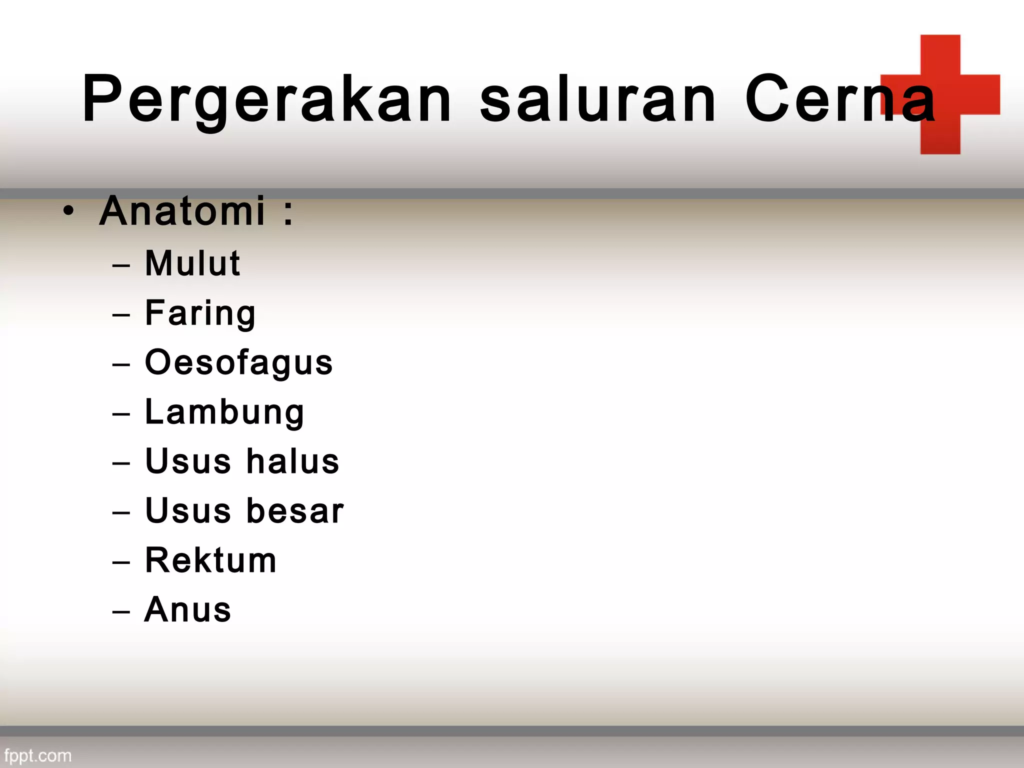 Sistem pencernaan (fungsi & pergerakan saluran cerna) 3 | PPT
