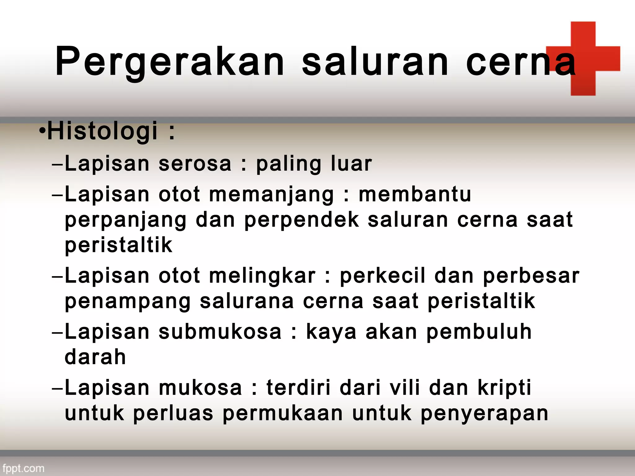 Sistem pencernaan (fungsi & pergerakan saluran cerna) 3 | PPT
