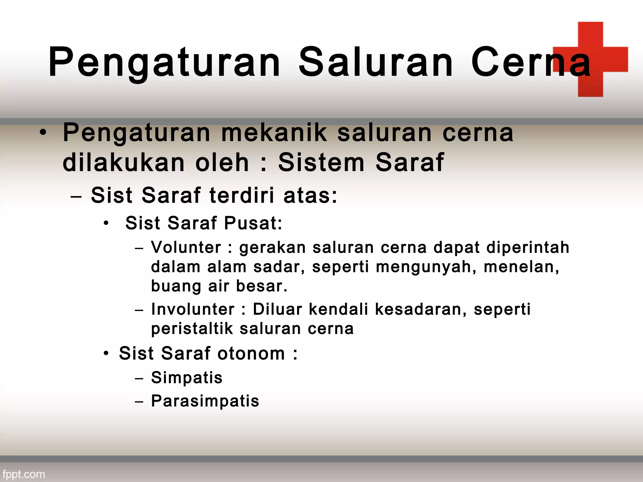 Sistem pencernaan (fungsi & pergerakan saluran cerna) 3 | PPT