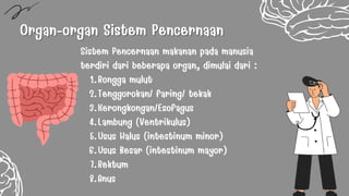 Sistem Pencernaan(Gastrointestinal)_Kelompok 4.pdf