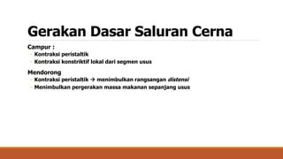 Sistem pencernaan (gerakan dasar dan mekanismenya) | PPTX