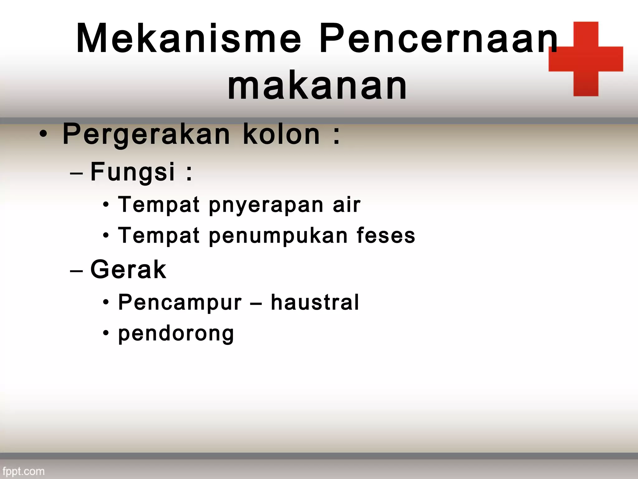 Sistem pencernaan (gerakan dasar & mekanisme saluran cerna) 4 | PPT