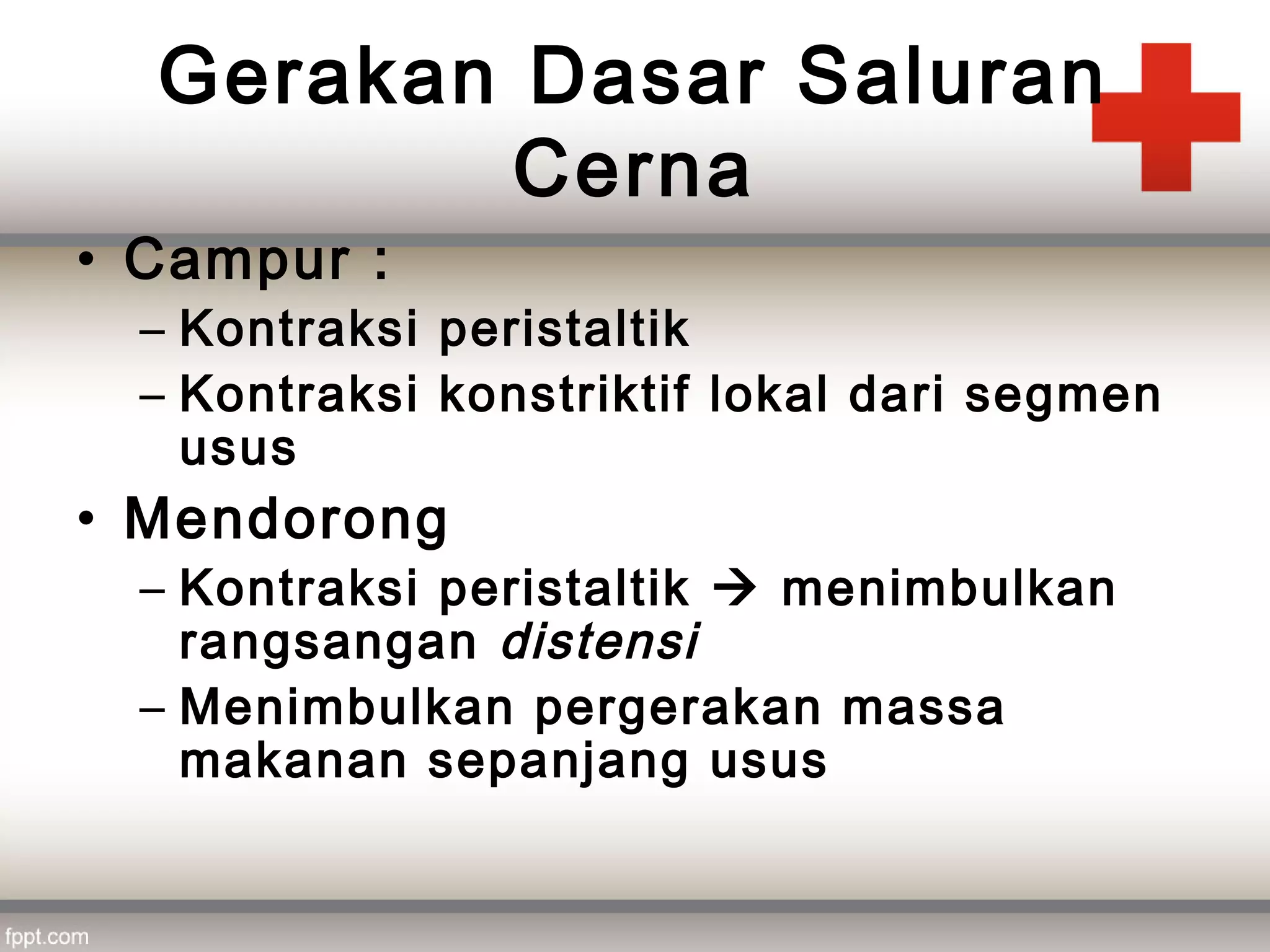 Sistem pencernaan (gerakan dasar & mekanisme saluran cerna) 4 | PPT