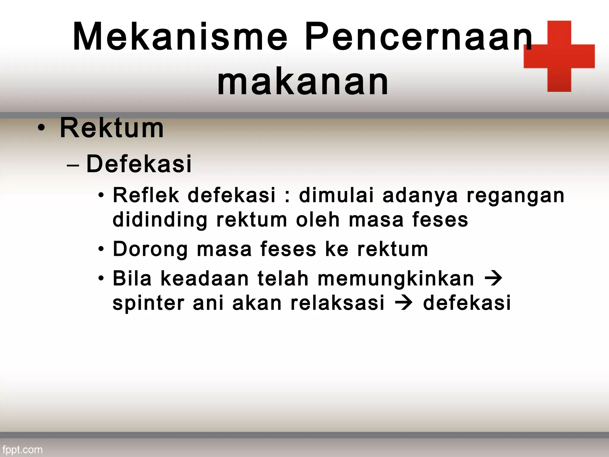 Sistem pencernaan (gerakan dasar & mekanisme saluran cerna) 4 | PPT
