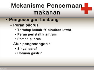 Sistem pencernaan (gerakan dasar & mekanisme saluran cerna) 4 | PPT