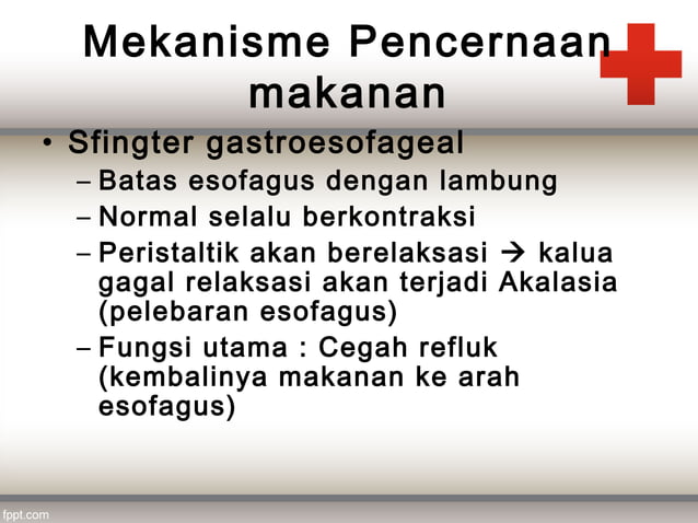 Sistem pencernaan (gerakan dasar & mekanisme saluran cerna) 4 | PPT