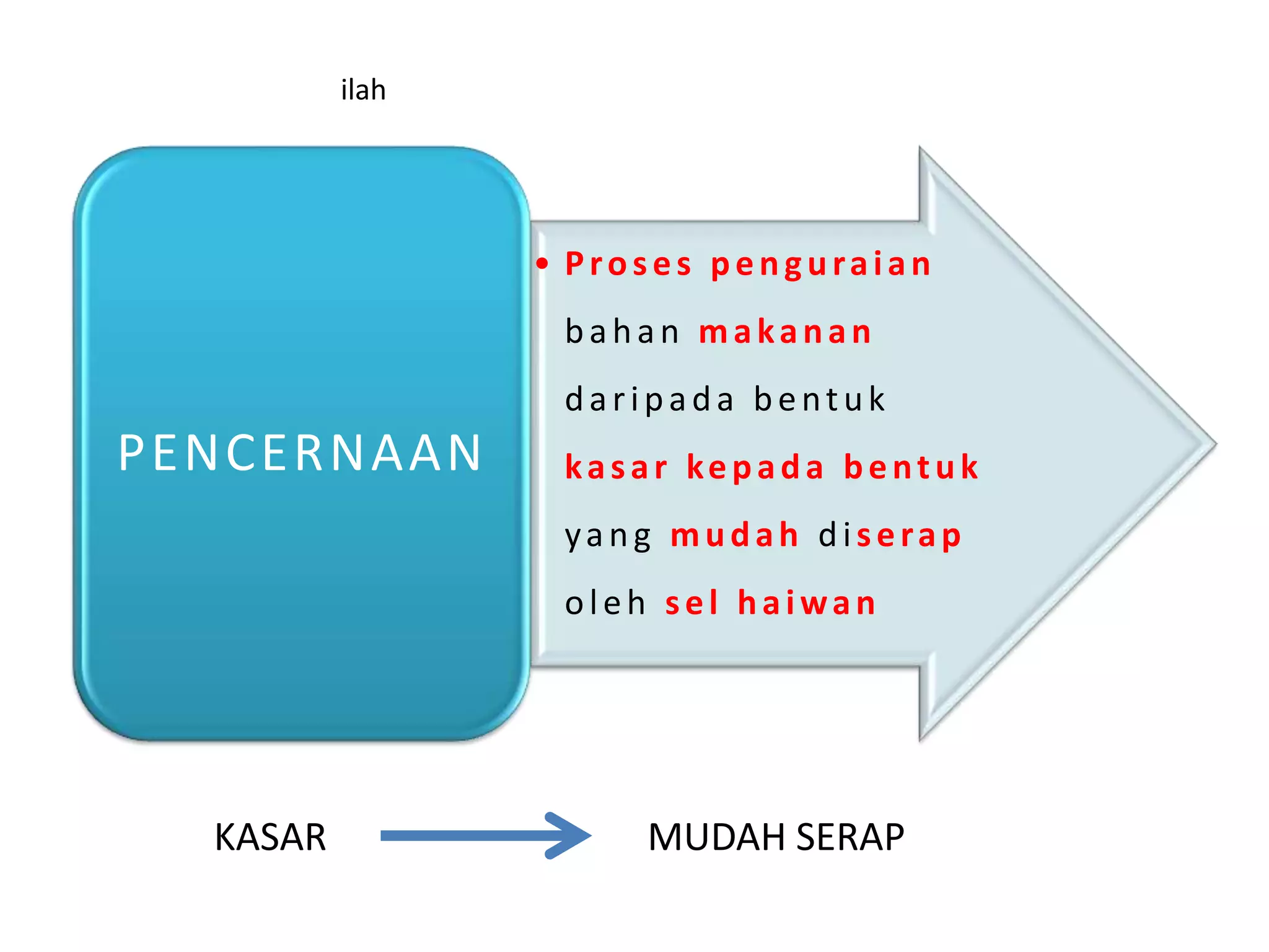 Sistem pencernaan haiwan ruminan dan rodensia | PPTX