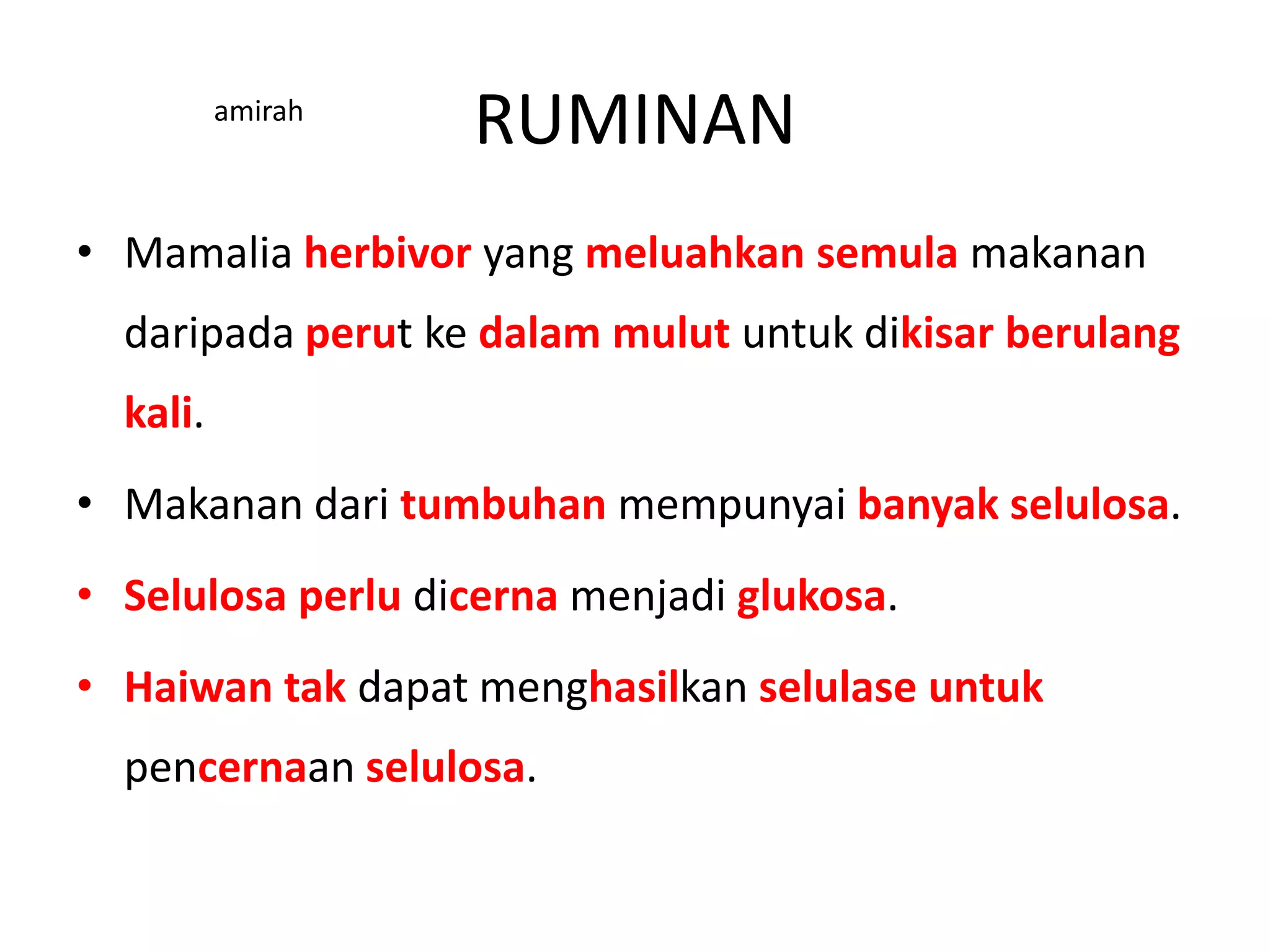 Sistem pencernaan haiwan ruminan dan rodensia | PPTX