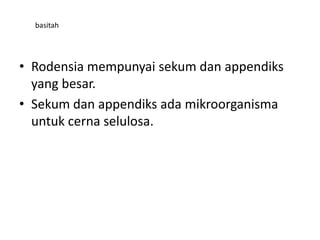 Sistem pencernaan haiwan ruminan dan rodensia | PPTX