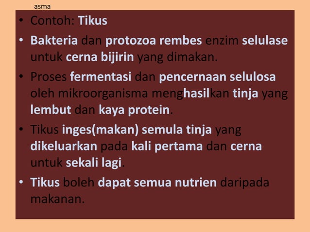 Sistem pencernaan haiwan ruminan dan rodensia | PPTX