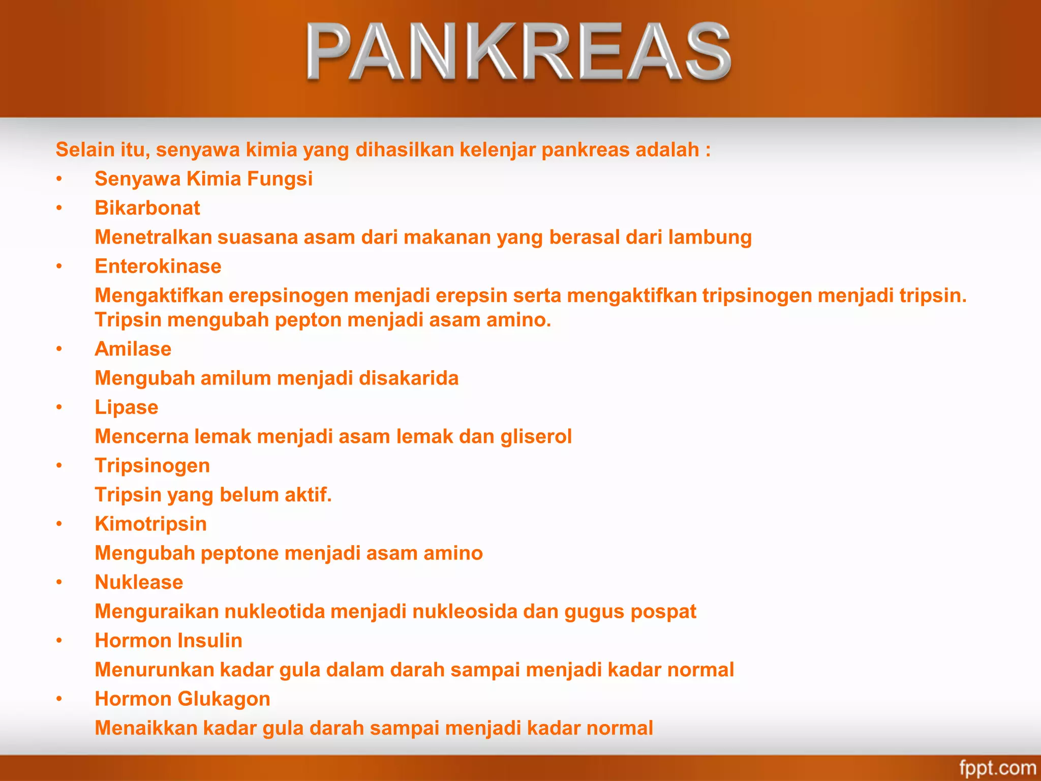 SISTEM PENCERNAAN MAKANAN | PDF