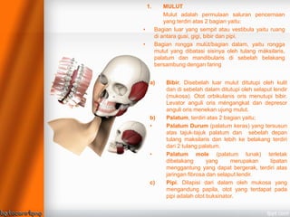 SISTEM PENCERNAAN MAKANAN | PDF
