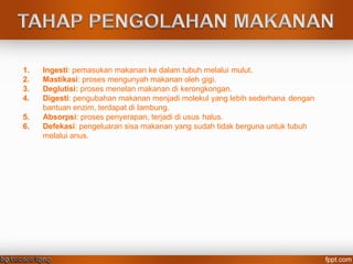power point materi sistem pencernaan makanan.pptx