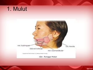 Sistem pencernaan makanan pada manusia,klp 6 | PPT